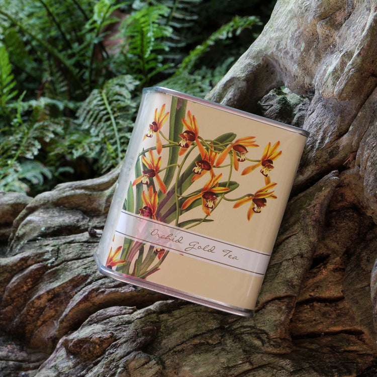 Orchid Tea – Singapore Botanic Gardens Gardens Shop