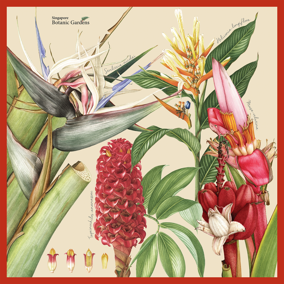 Scarves – Singapore Botanic Gardens Gardens Shop