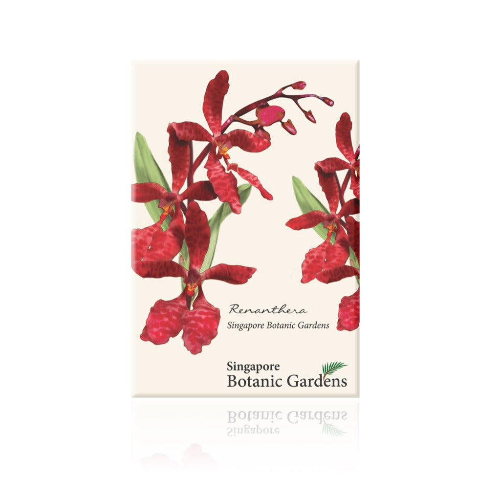 Botanical Print Magnet - Renanthera – Singapore Botanic Gardens Gardens ...